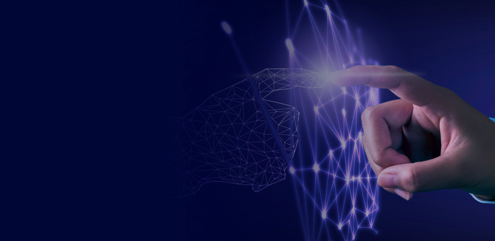 AI Development Company - AI Development Services - Xaigi